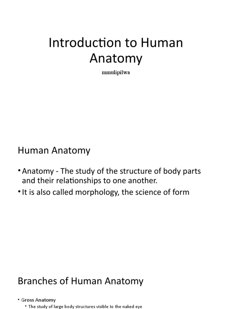 Introduction To Human Anatomy | PDF | Anatomical Terms Of Motion ...