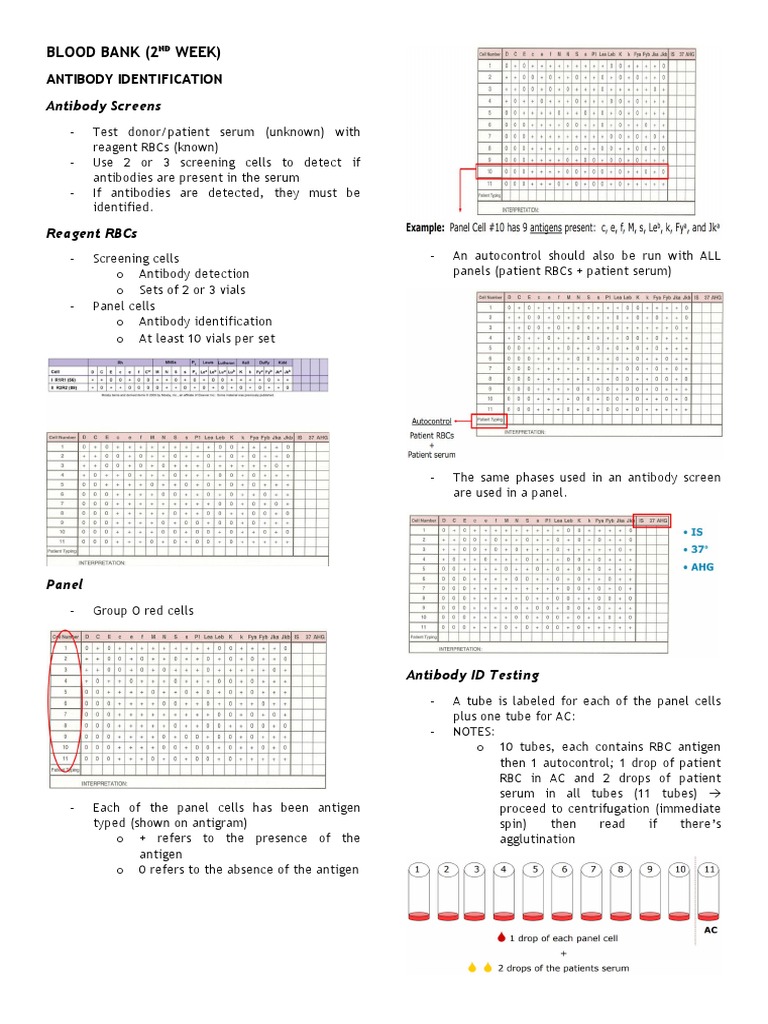 Blood Bank 2ND Week Antibody Identification | PDF | Antibody | Medical ...