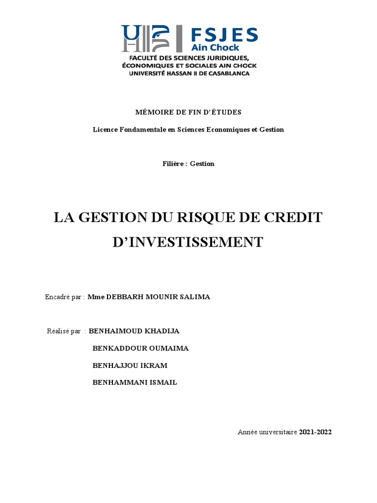 PFE-Gestion Du Risque de Crédit D'investissement | PDF