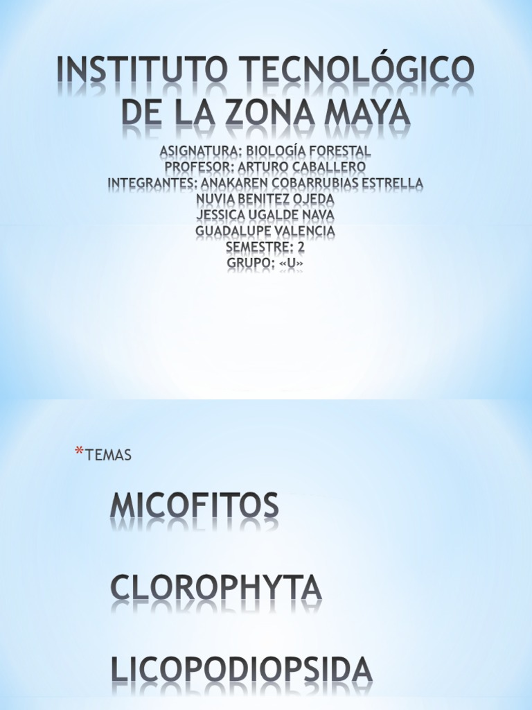 MICÓFITOS | PDF | Ciencia y matemática