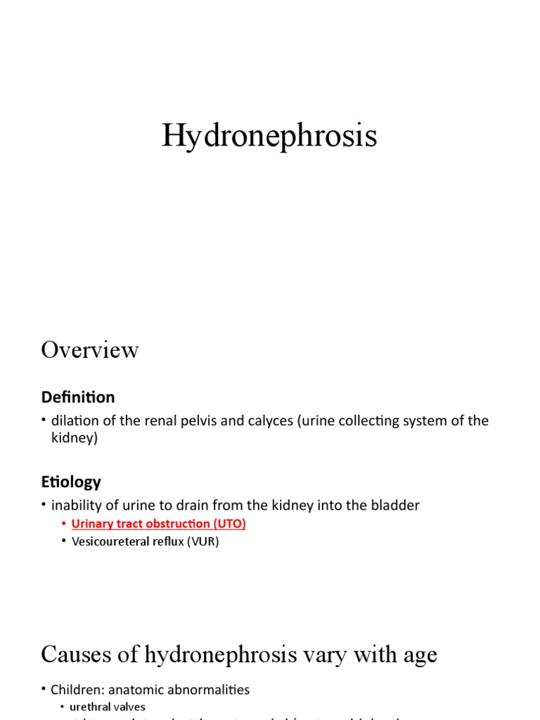 Hydronephrosis | PDF | Urinary Bladder | Urinary System
