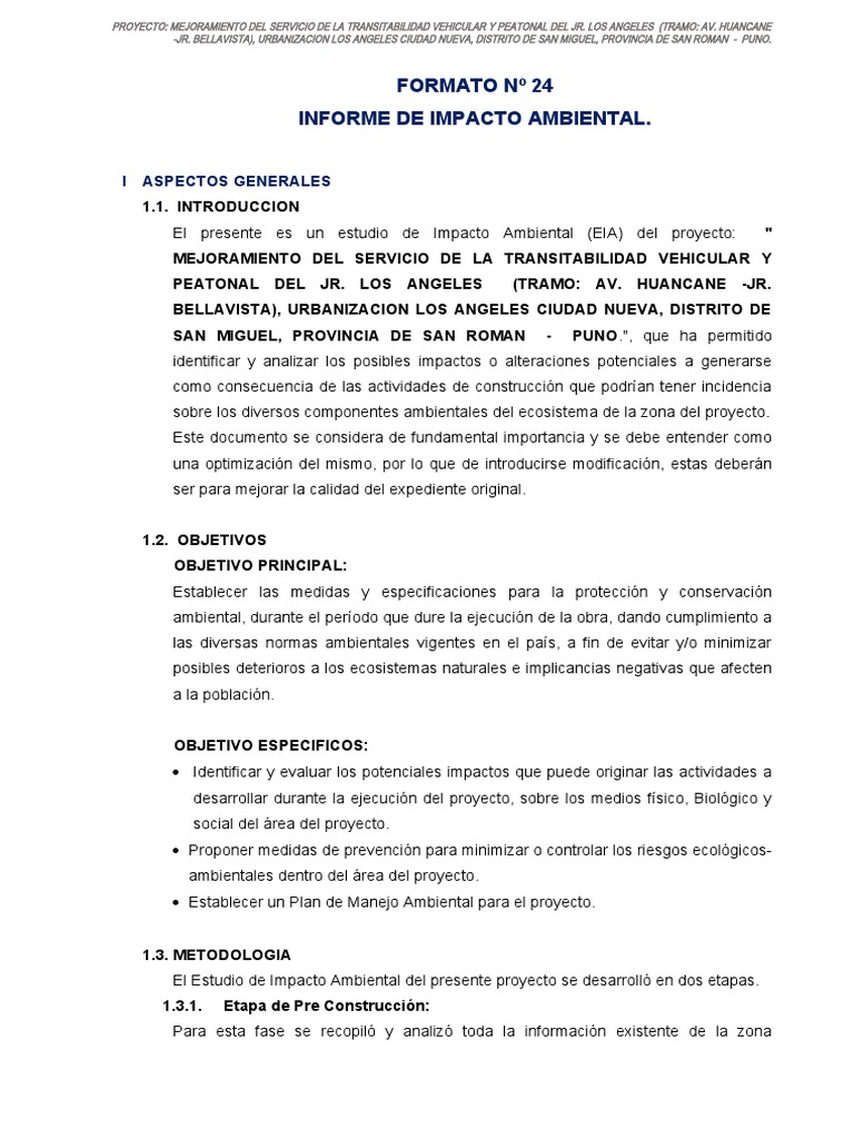 Formato #24 Informe de Impacto Ambiental | PDF