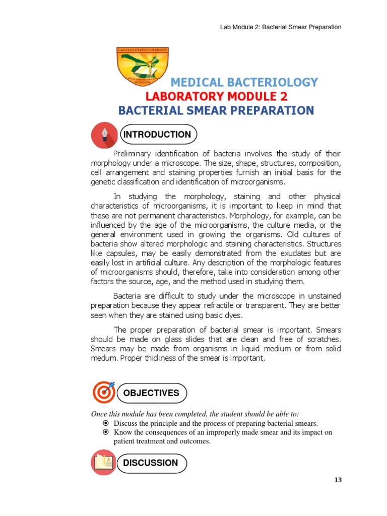 MED MICRO Lab Activity 2 | PDF | Bacteria | Staining