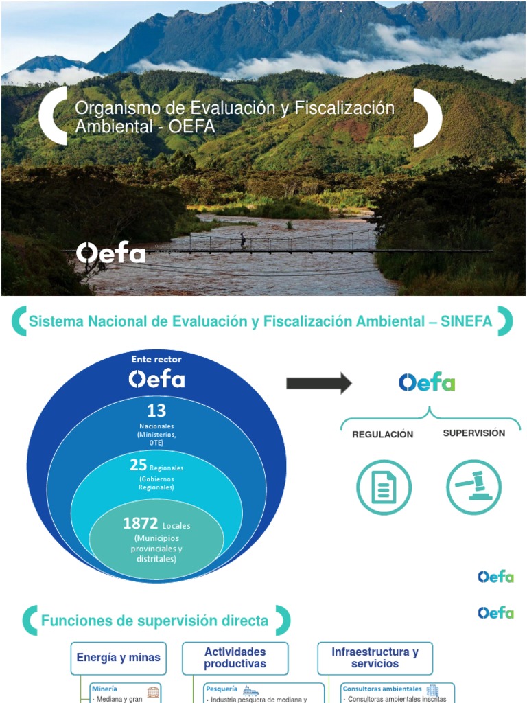 OEFA Funciones | PDF | Economias | Entorno natural