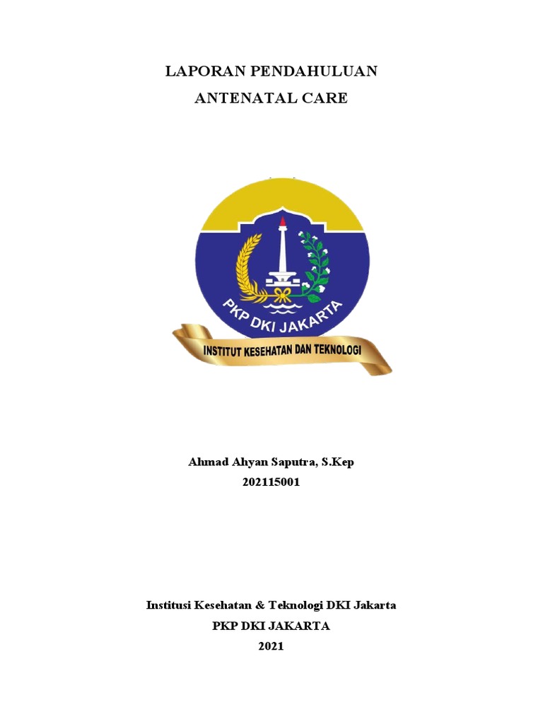 Lp Antenatal Care Pdf