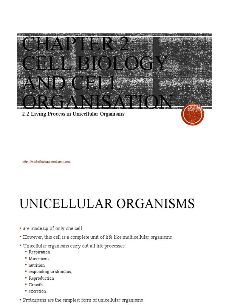 Unicellular Vs Multicellular Cell Process 2.2 Living Process In