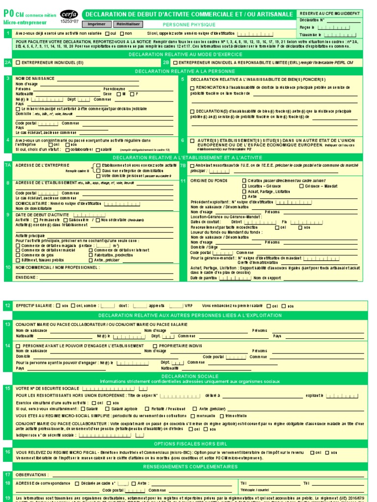 Formulaire P0 CM Micro Entrepreneur | PDF