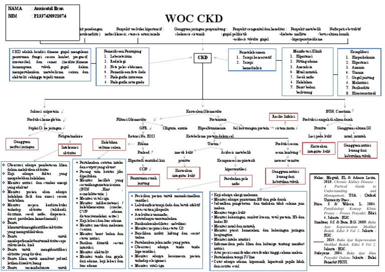 Woc CKD | PDF