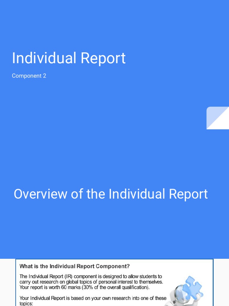 Individual Report Overview | PDF | Social Science | Computers