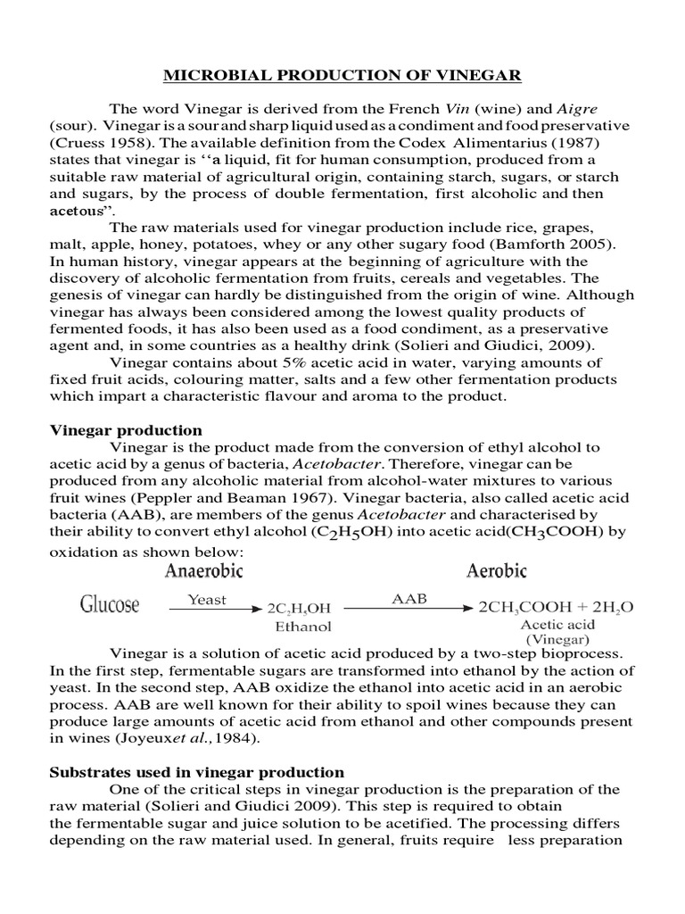 Vinegar Making Process | PDF | Vinegar | Acetic Acid
