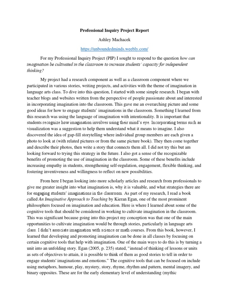 Pip Report | PDF | Imagination | Psychological Concepts