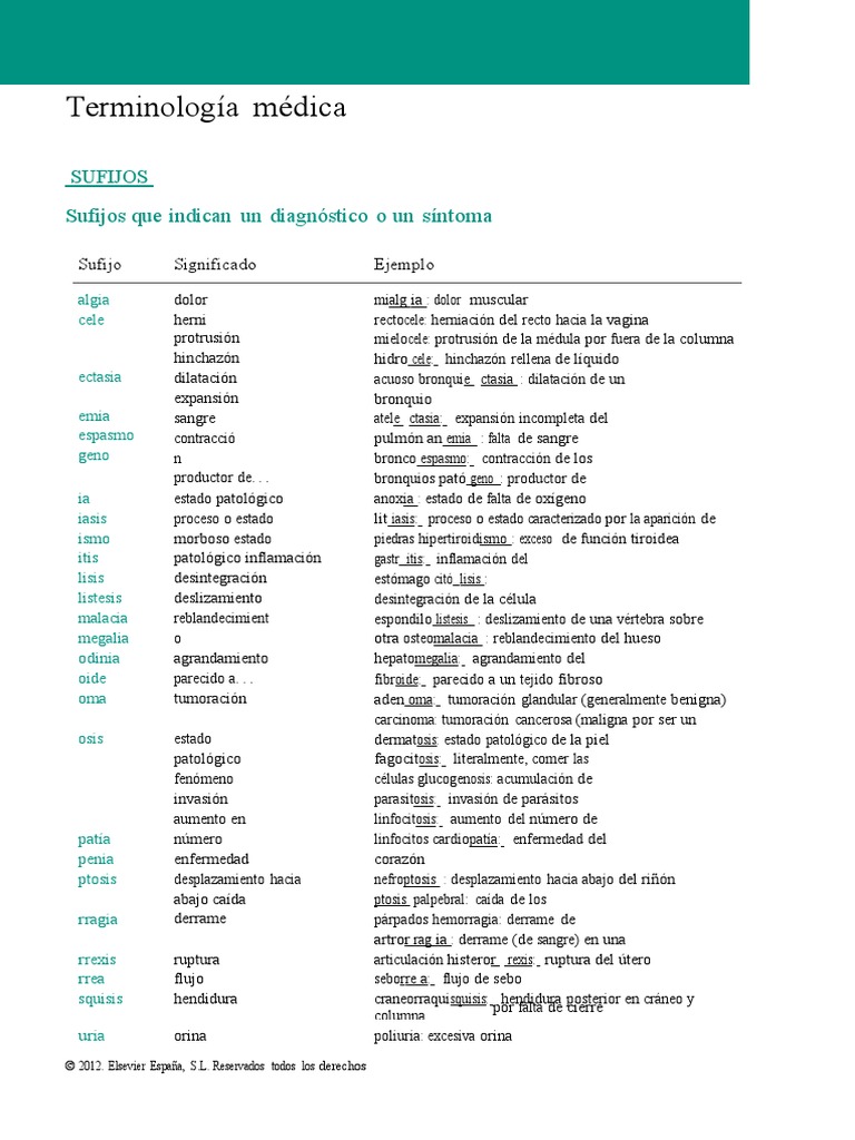 Terminologia Medica | PDF