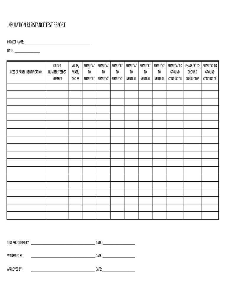 Insulation Resistance Test Report | PDF | Technology & Engineering