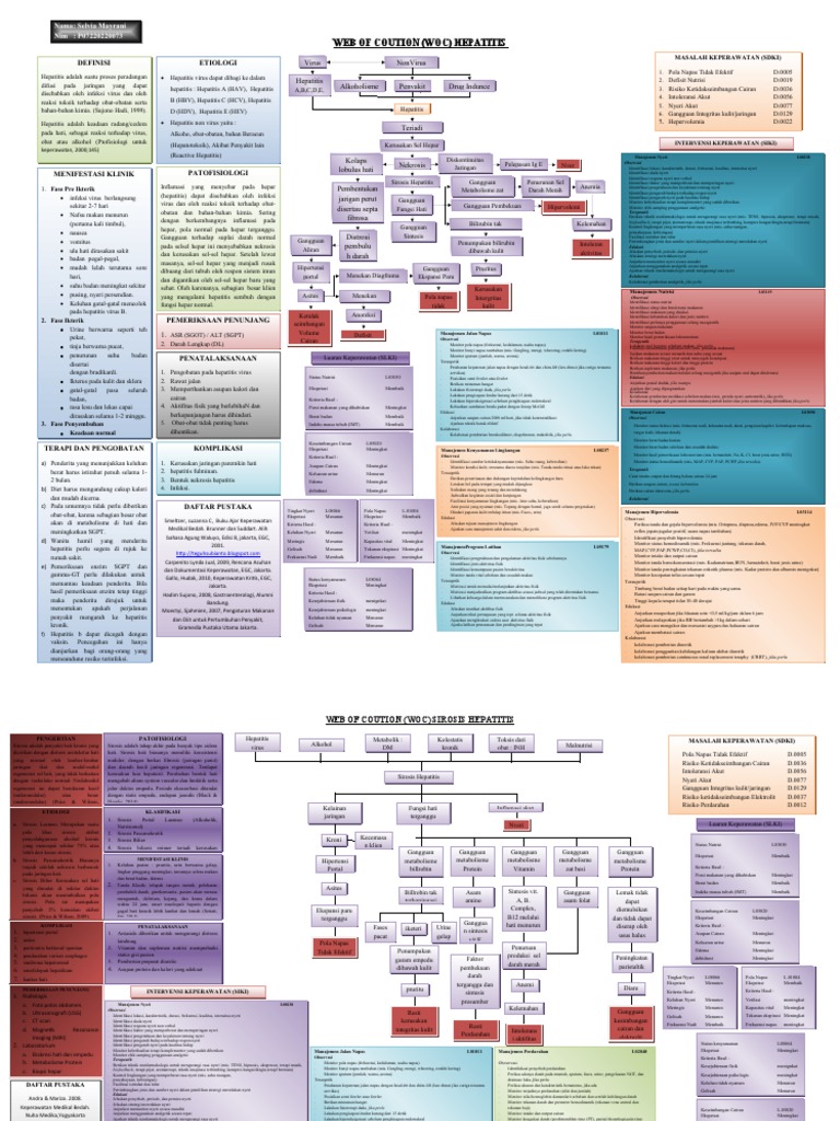 Selvia Mayrani (p07220220073) KMB 3 Woc Hepatitis Dan Sirosis Hepatitis | PDF