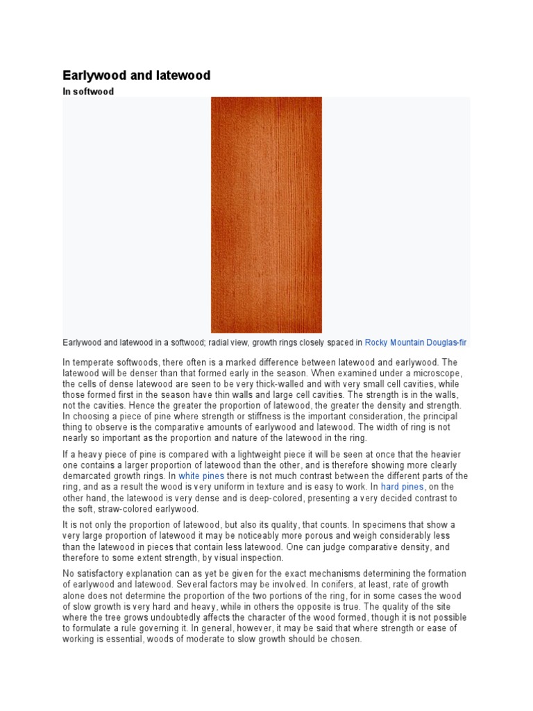 Earlywood and Latewood | PDF | Wood | Trees