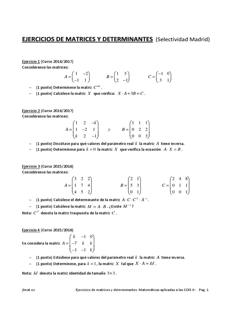 Matrices Ccss Selectividad | PDF | Matriz (Matemáticas) | Determinante