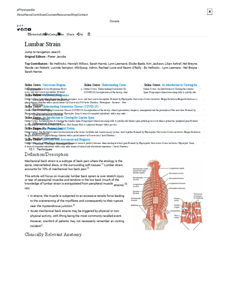 Lumbar Strain Physiopedia Pdf Low Back Pain Back Pain
