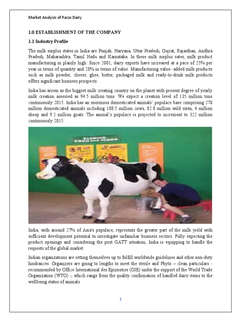 Paras Dairy Project Report | PDF