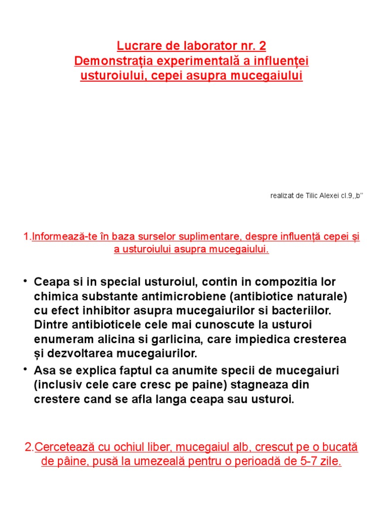 Lucrare de Laborator NR 2 | PDF