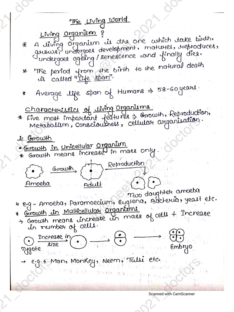 Handwriting Notes (Living World) | PDF