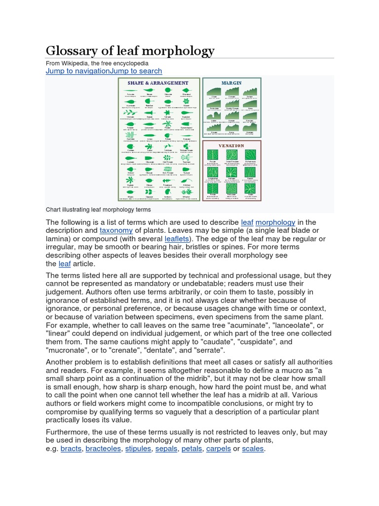Glossary of Leaf Morphology: Jump To Navigationjump To Search | PDF ...