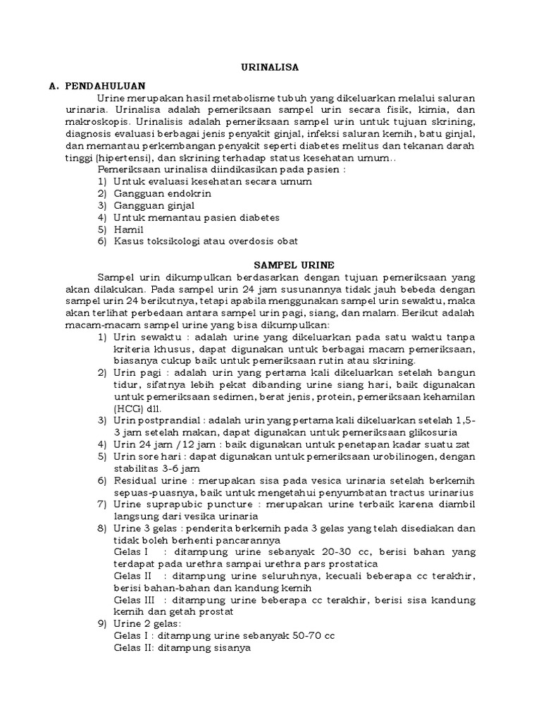 Panduan Lengkap Urinalisa dan Sampel Urine | PDF