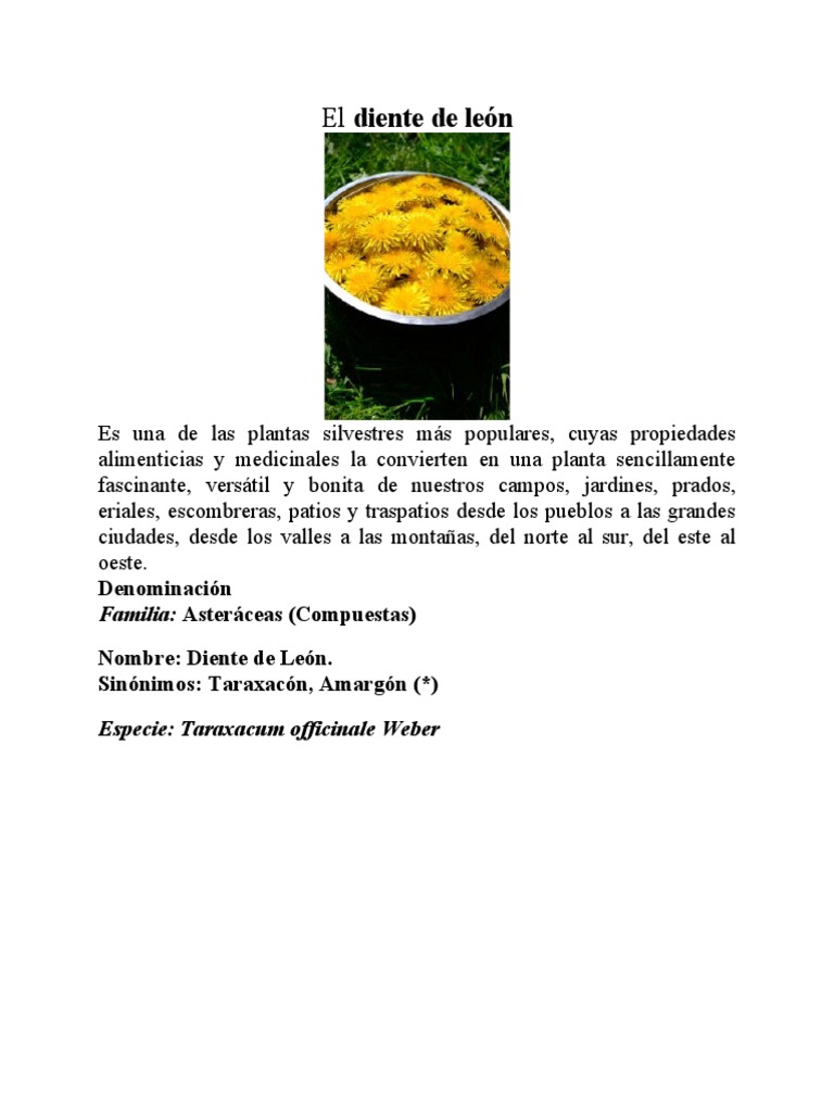 El Diente de Leon | PDF