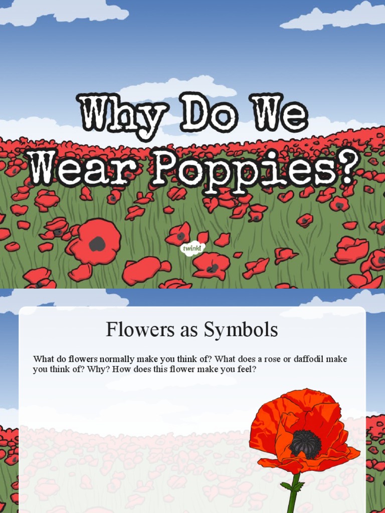 NZ T 93 Why Do We Wear Poppies Powerpoint NZ Level 1 | PDF