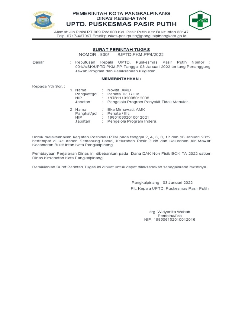 Surat Perintah Tugas 2022 | PDF