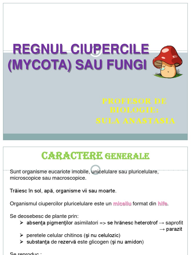 Regnul Fungi | PDF