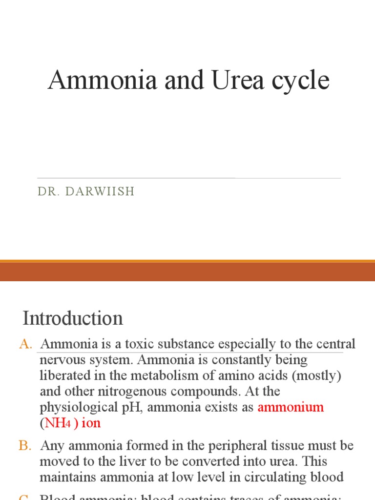 Ammonia and Urea Cycle | PDF | Ammonia | Urea
