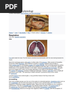 Fish Mouth Types | PDF