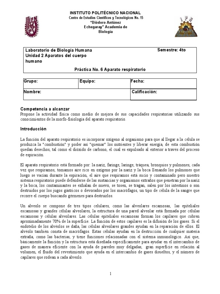 BH U2 Prac6 AP Resp 2022B | PDF | Pulmón | Sistema respiratorio