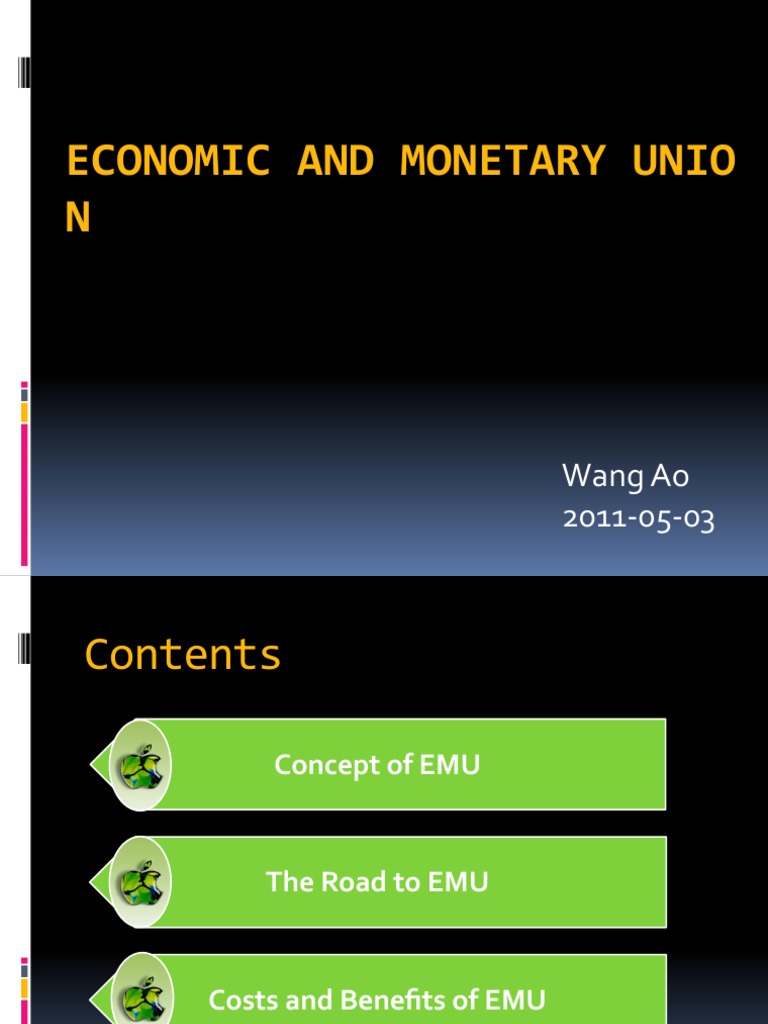 7 EMU-Wang Ao | PDF | International Finance | Economic And Monetary ...