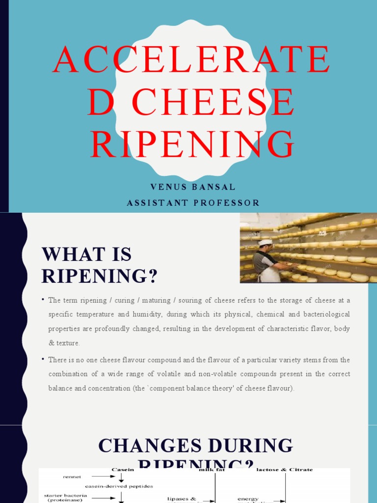 Accelerated Ripening of Cheese by Me | PDF | Cheese | Milk