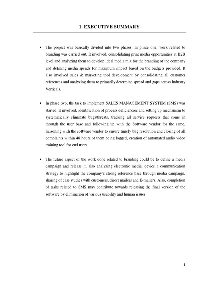 Happy Project Report | PDF | Mass Media | Advertising