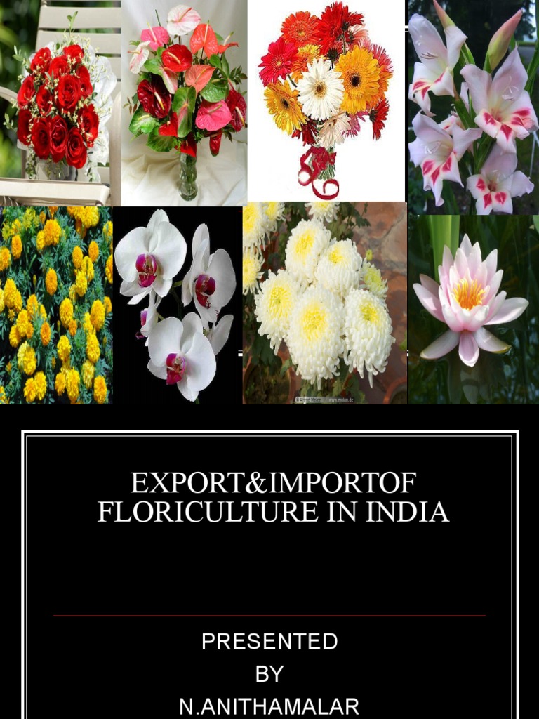 Export Import Floriculture in India | PDF | Plants