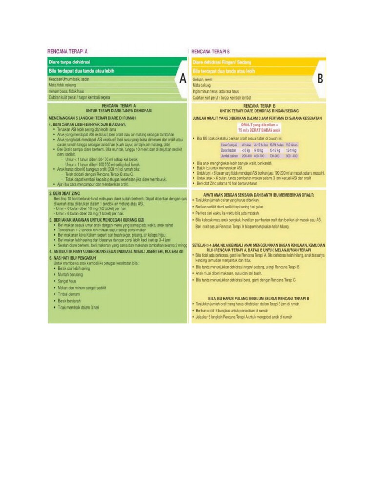 Rencana Terapi A | PDF