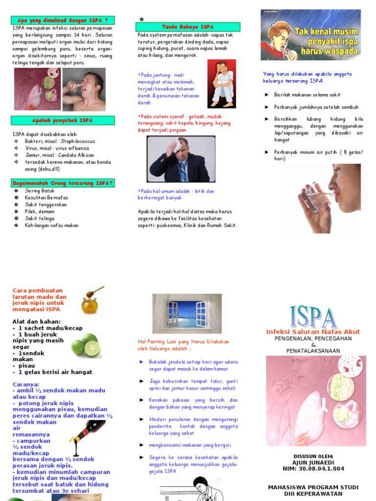 Leaflet Ispa | PDF