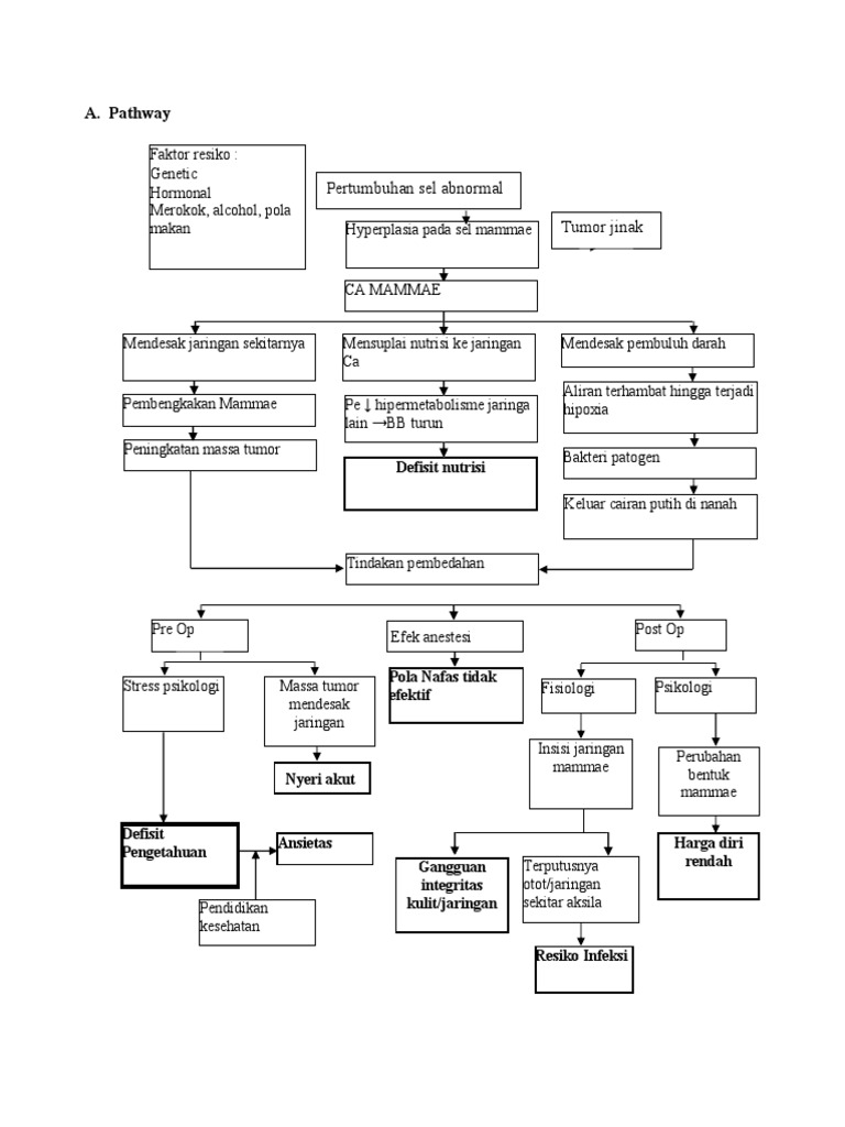 Pathway Kanker Payudara dan Penanganan | PDF