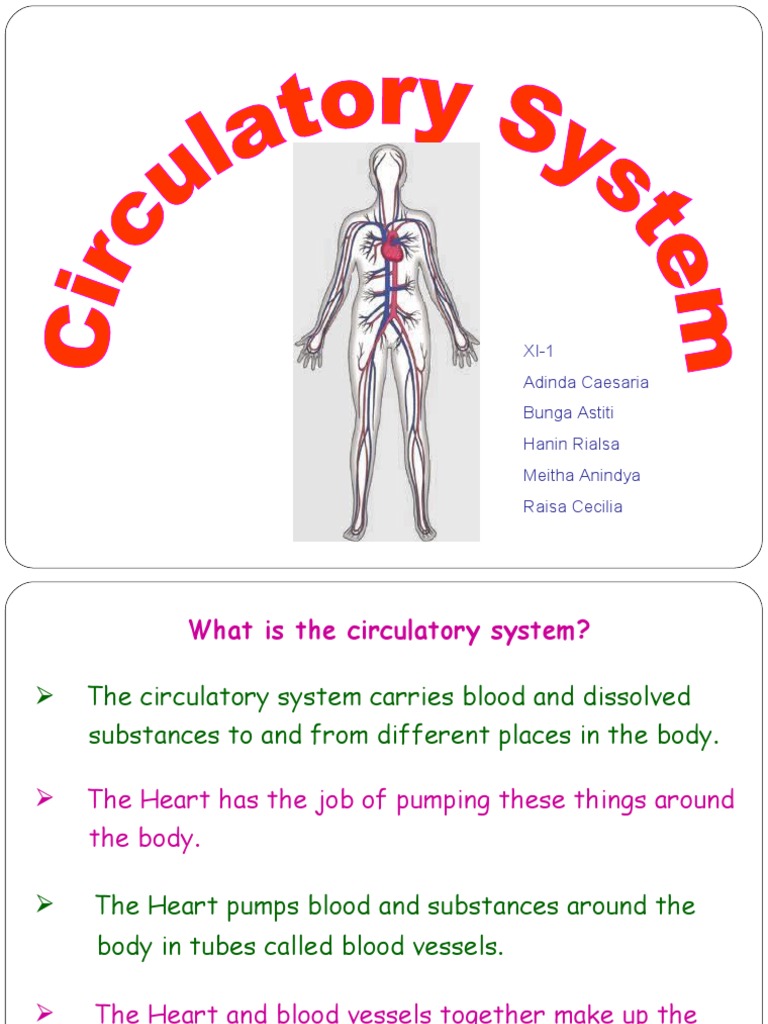 XI-1 Adinda Caesaria Bunga Astiti Hanin Rialsa Meitha Anindya Raisa ...