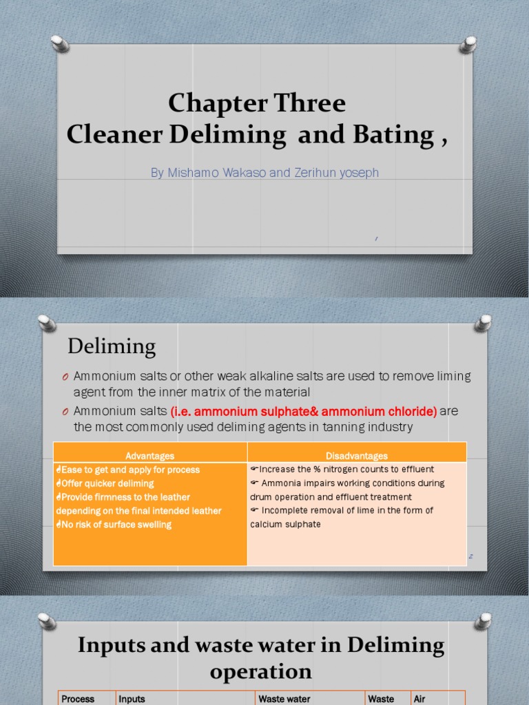 Deliming and Bating in Leather Tanning | PDF