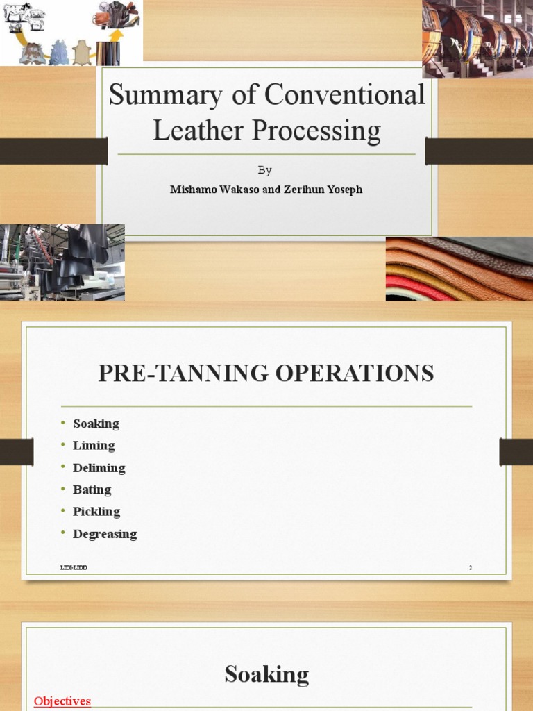 Summary of Leather Processing | PDF