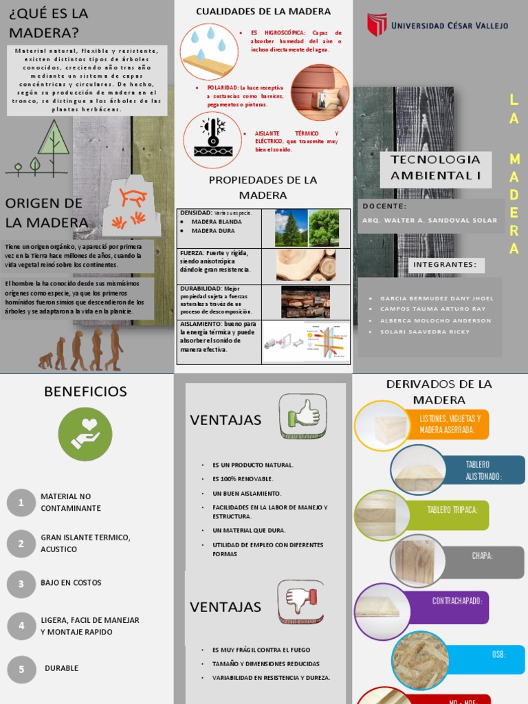 Triptico Madera | PDF | Madera | Química
