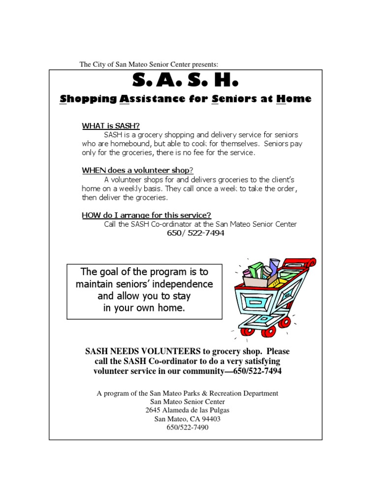 Sash Brochure Flyer | PDF