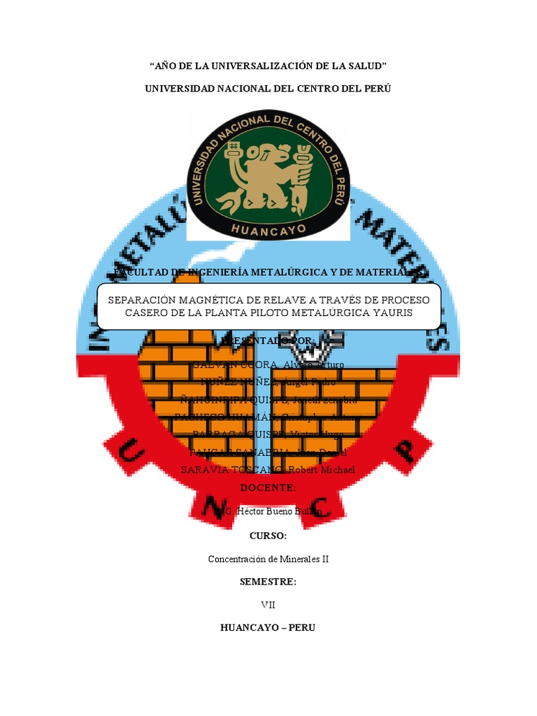 Informe Relave | PDF