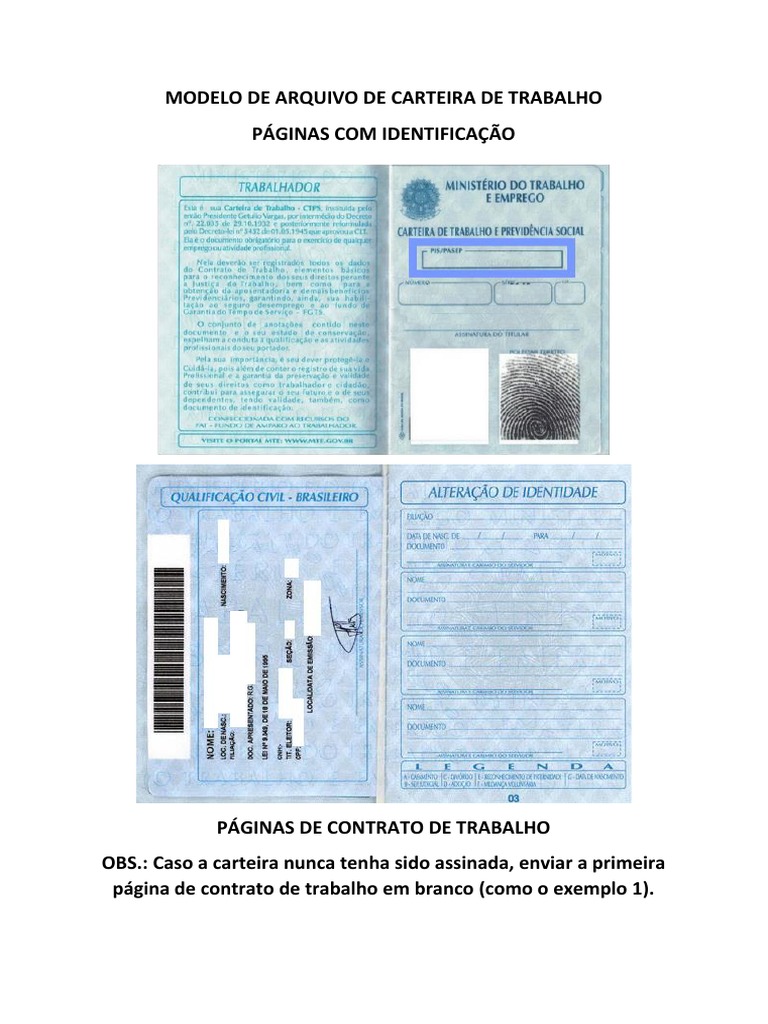 8 - Modelo Carteira de Trabalho | PDF