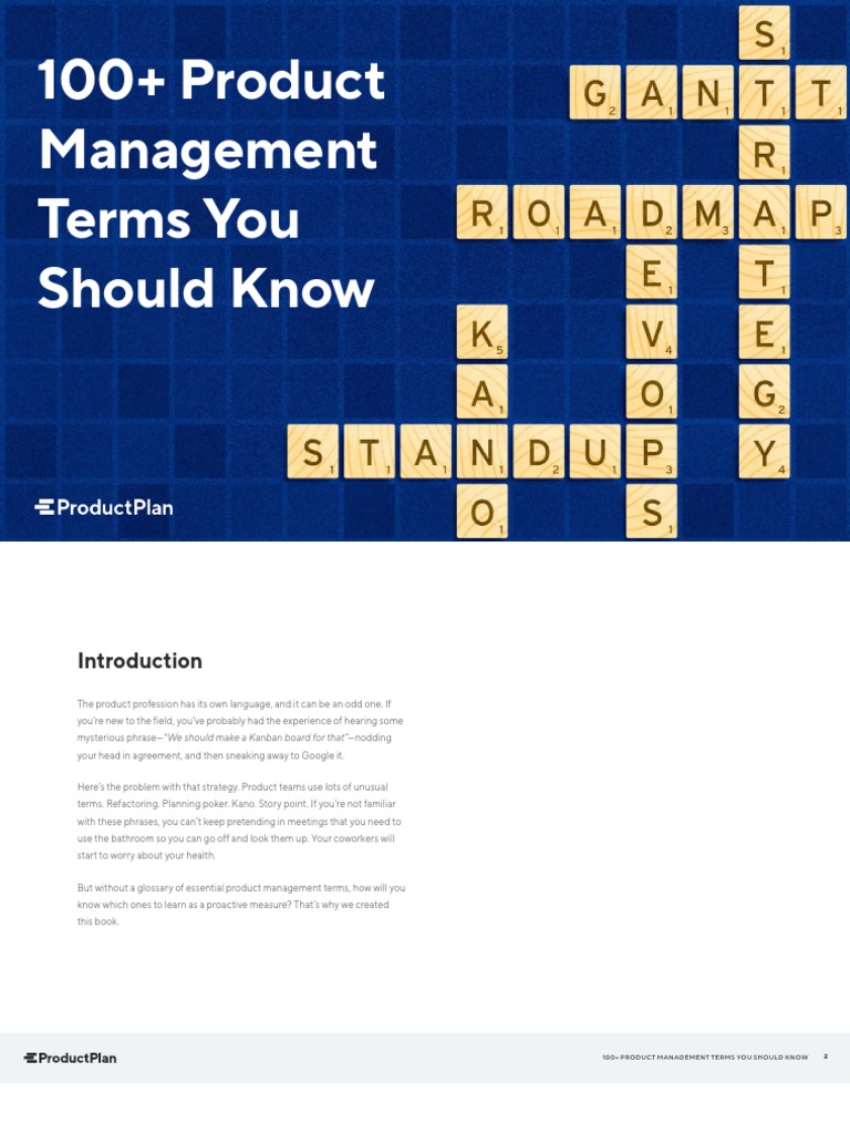 100 Product Management Terms by ProductPlan | PDF
