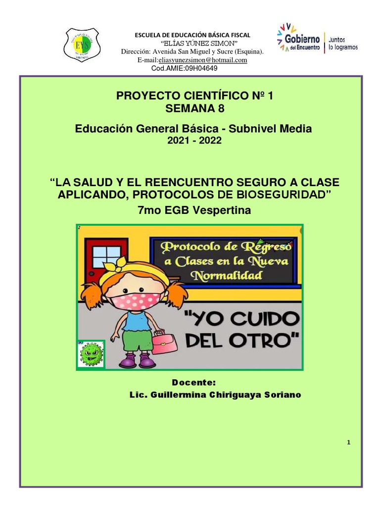 Maria Del Carmen Parraga Proyecto Cientifico Nivel Media Septimo | PDF