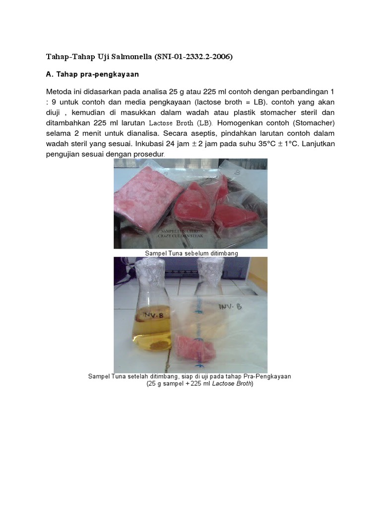 Tahapan Uji Salmonella SNI | PDF